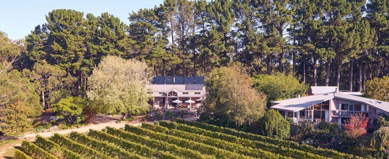 Enjoy Wines at Main Ridge Estate Winery | Cellar & Pantry