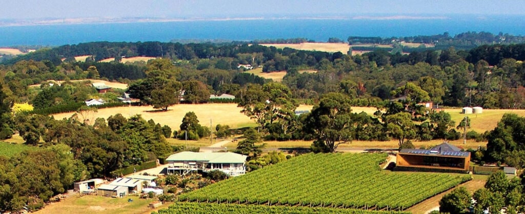 Paringa Estate Wines - Mornington Peninsula | Cellar & Pantry