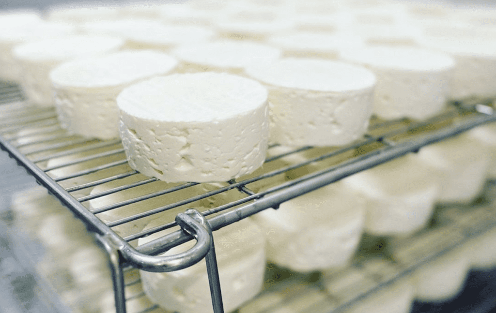 Main Ridge Dairy Artisan Goat Cheese | Cellar & Pantry